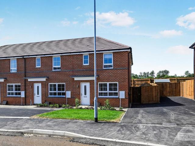 3 bedroom house to rent