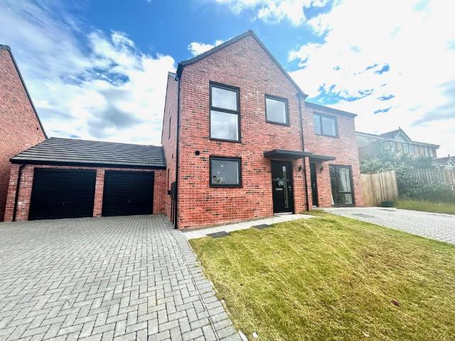 3 bedroom house to rent