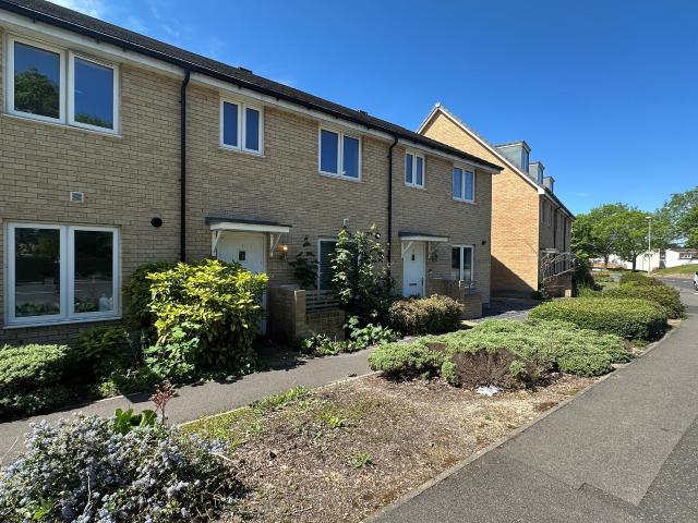 3 bedroom house to rent