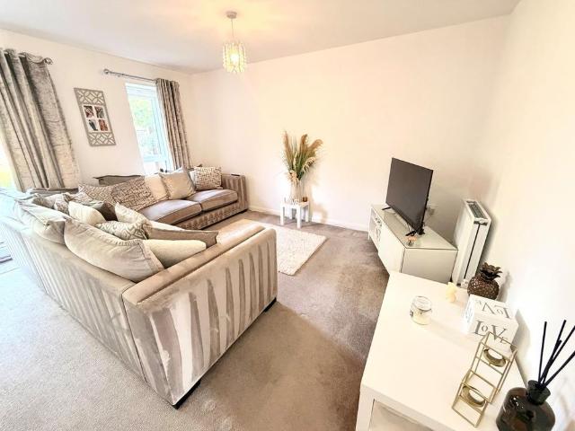 3 bedroom house to rent
