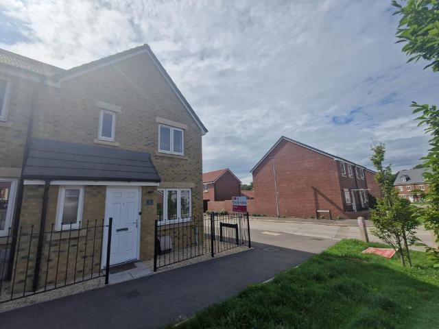 3 bedroom house to rent