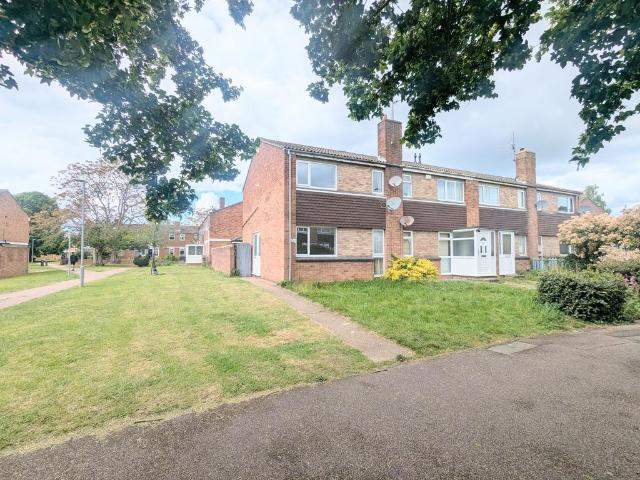 3 bedroom house to rent