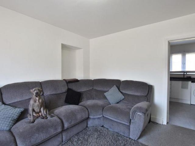 3 bedroom house to rent