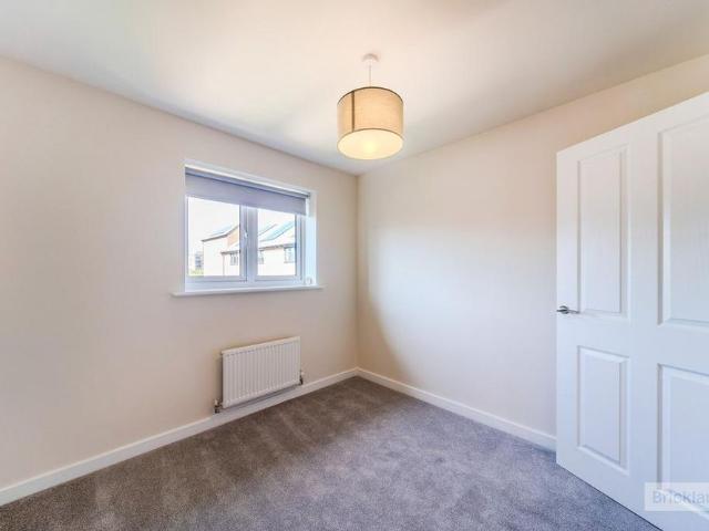 3 bedroom house to rent