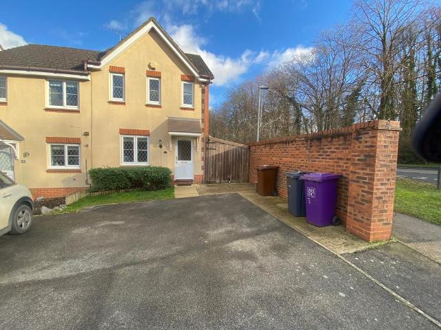 3 bedroom house to rent