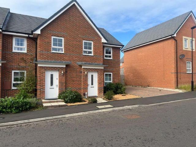 3 bedroom house to rent