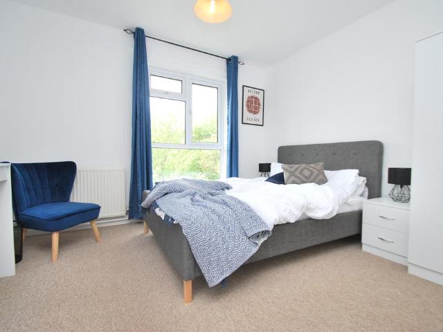3 bedroom house to rent