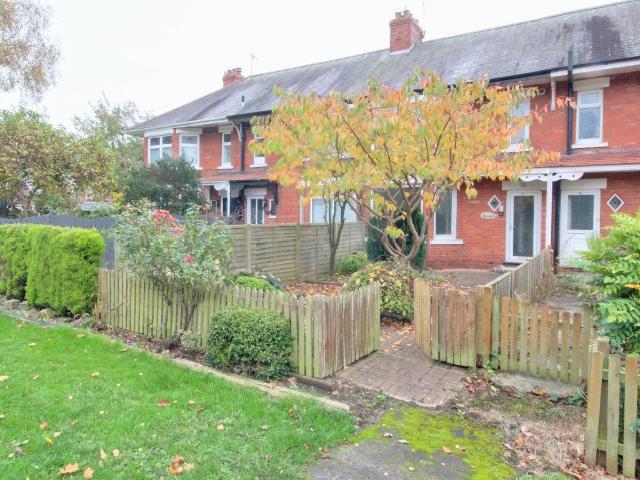 3 bedroom house to rent