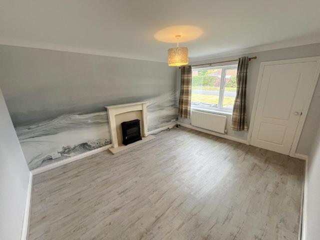 3 bedroom house to rent
