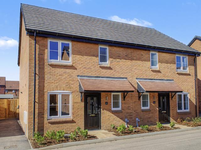 3 bedroom house to rent