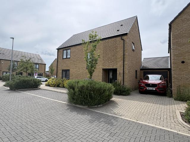 3 bedroom house to rent