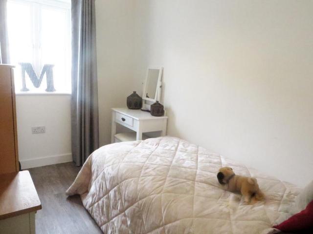 3 bedroom house to rent