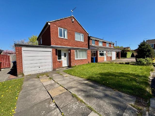 3 bedroom house to rent