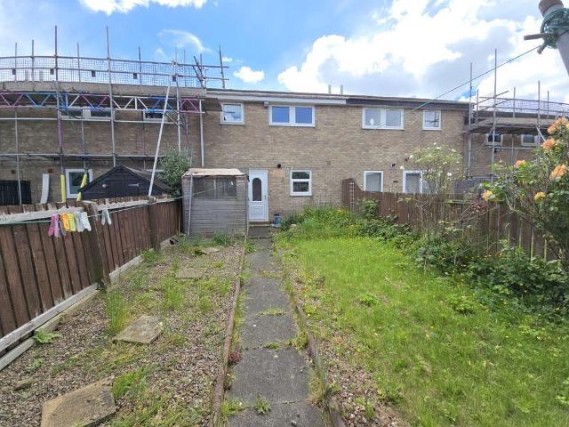 3 bedroom house to rent