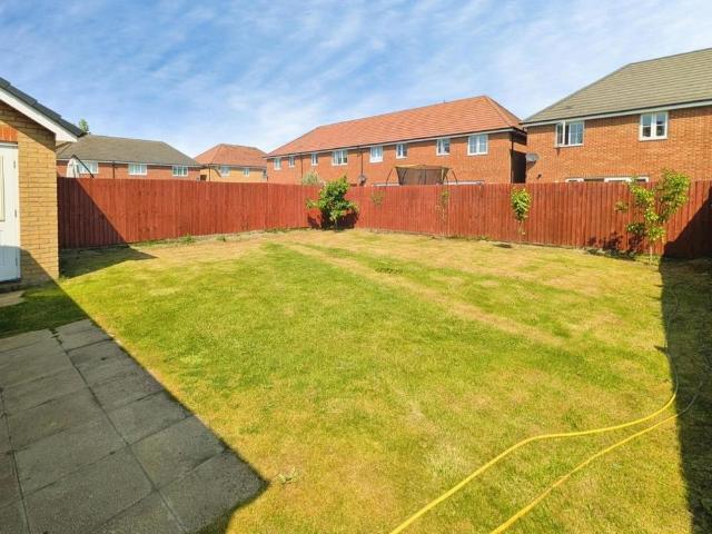 3 bedroom house to rent