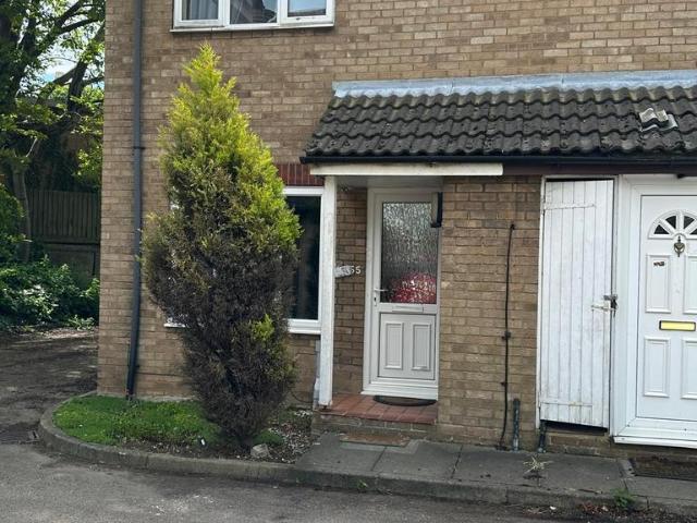 3 bedroom house to rent