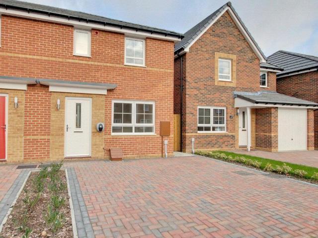 3 bedroom house to rent