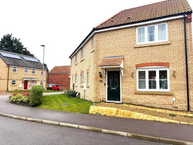 3 bedroom house to rent