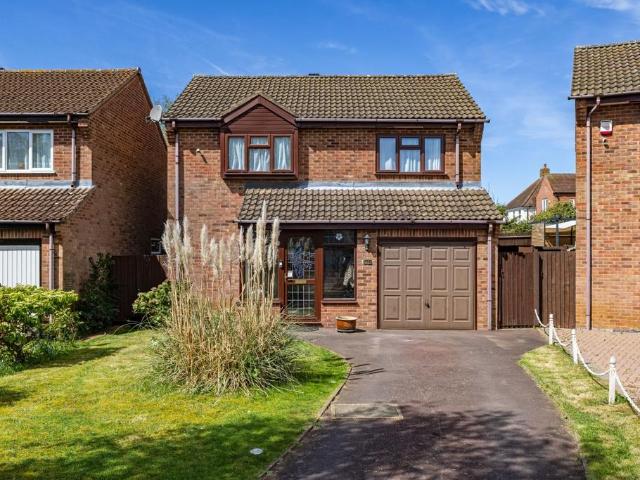3 bedroom house to rent
