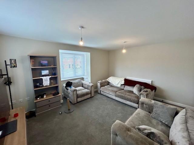 3 bedroom house to rent