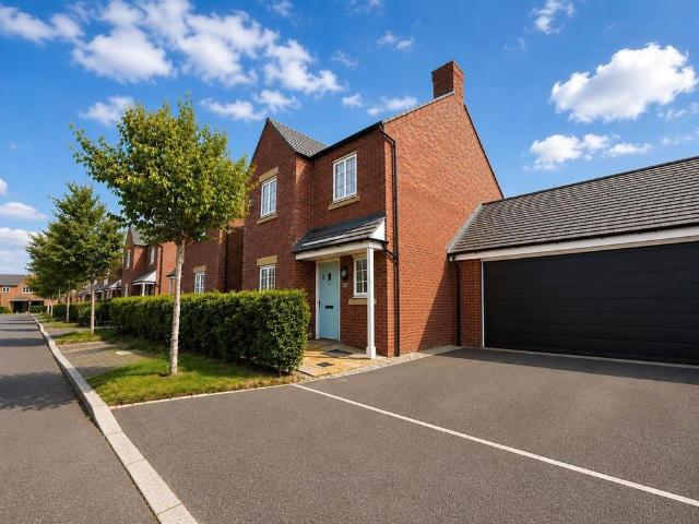 3 bedroom house to rent