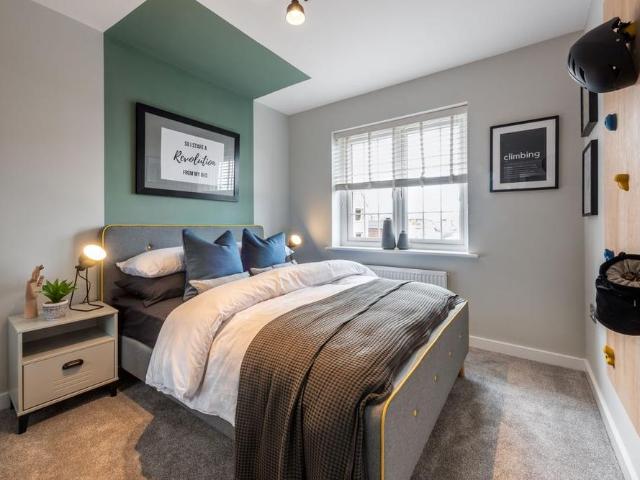 3 bedroom house to rent