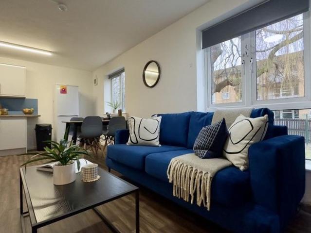 3 bedroom house to rent