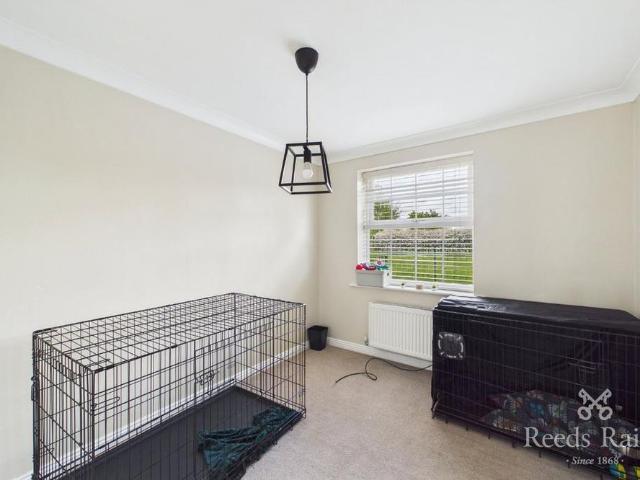 3 bedroom house to rent