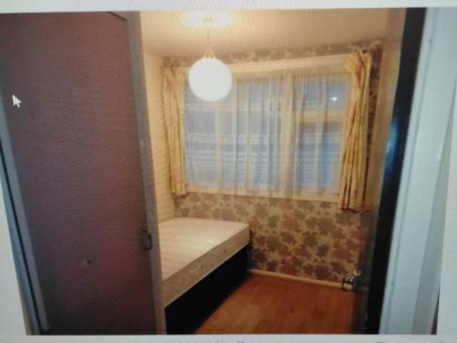 3 bedroom house to rent