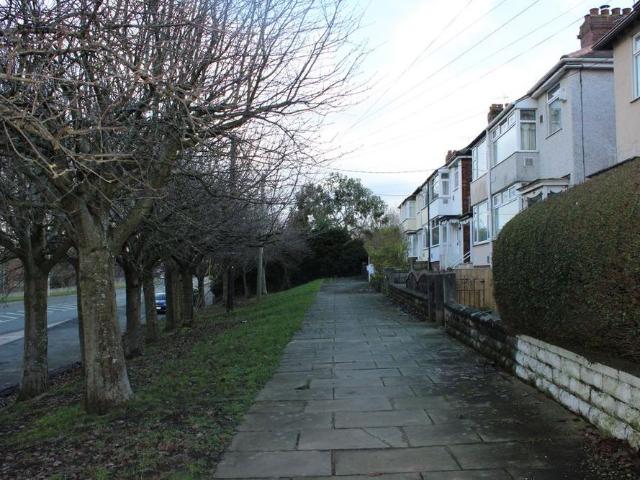 3 bedroom house to rent