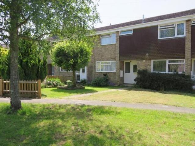 3 bedroom house to rent
