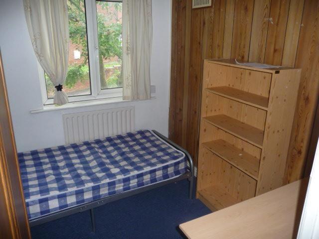 3 bedroom house to rent