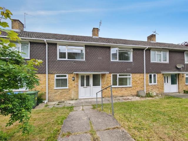 3 bedroom house to rent