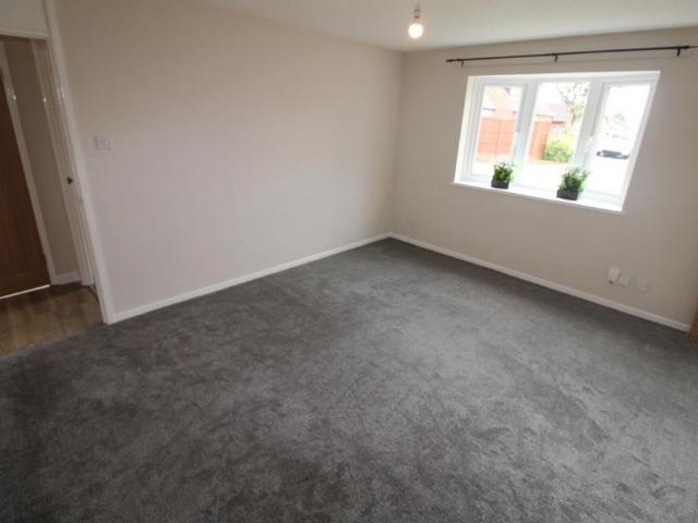 3 bedroom house to rent
