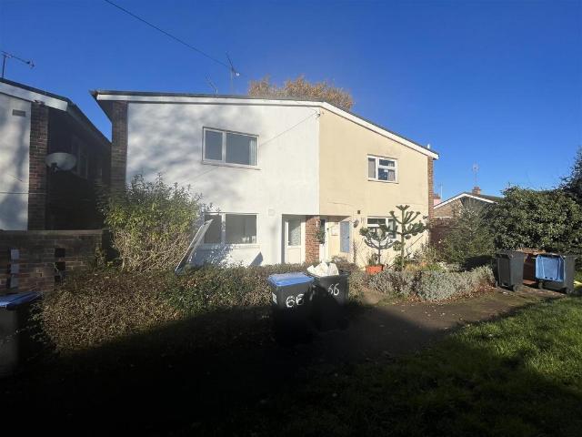 3 bedroom house to rent