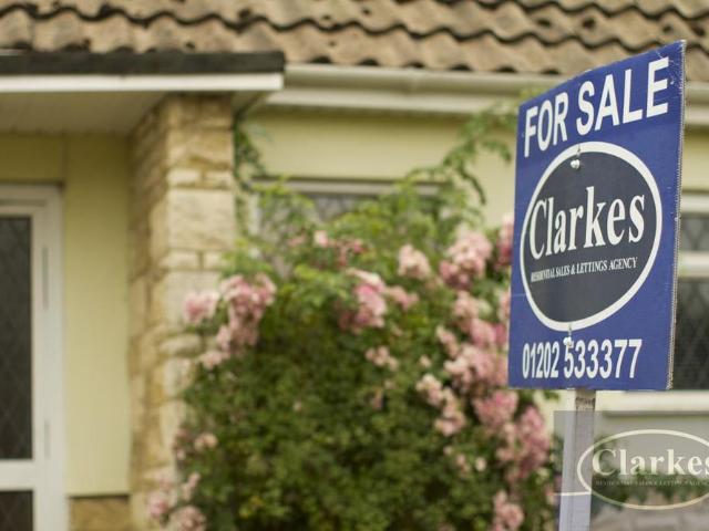 3 bedroom house to rent