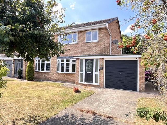 3 bedroom House to rent