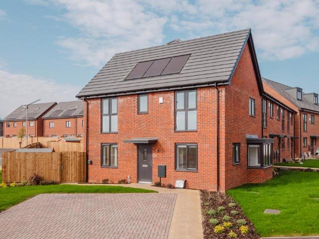 3 bedroom house to rent