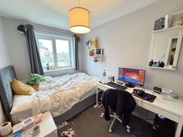 3 bedroom house to rent