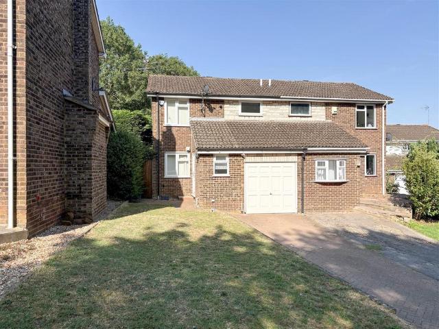 3 bedroom house to rent
