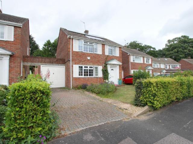 3 bedroom house to rent