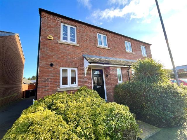 3 bedroom house to rent
