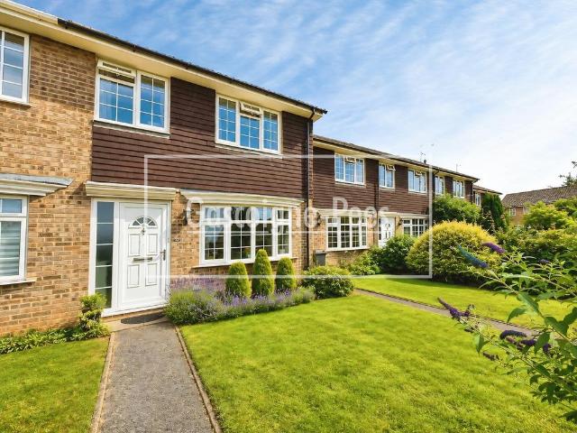 3 bedroom house to rent