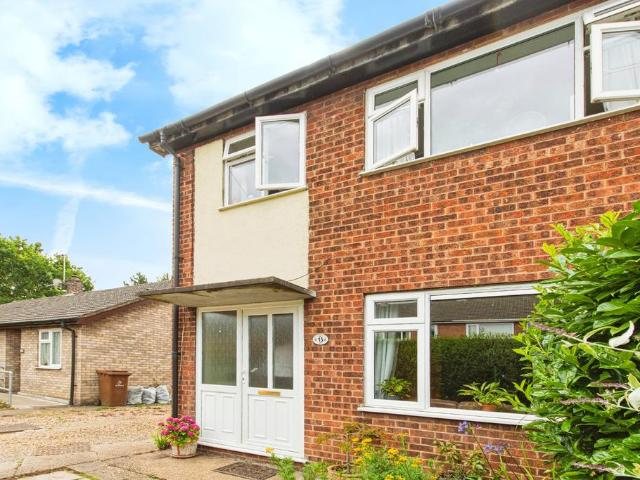 3 bedroom house to rent