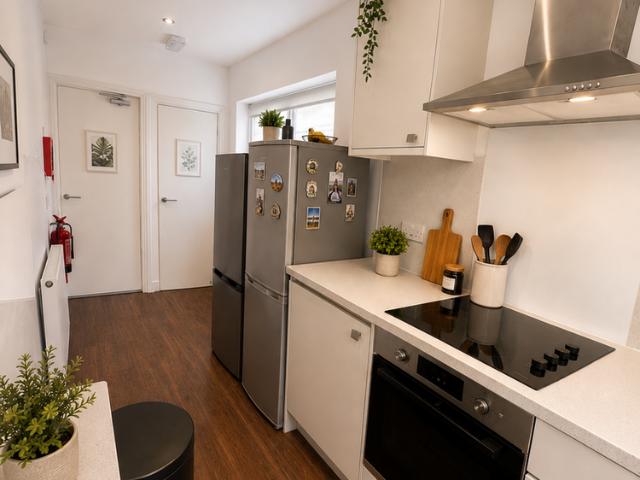3 bedroom house to rent