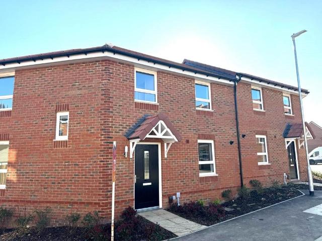 3 bedroom house to rent