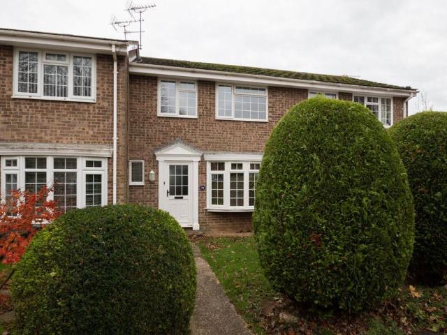 3 bedroom house to rent