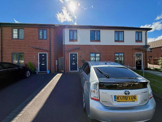 3 bedroom house to rent