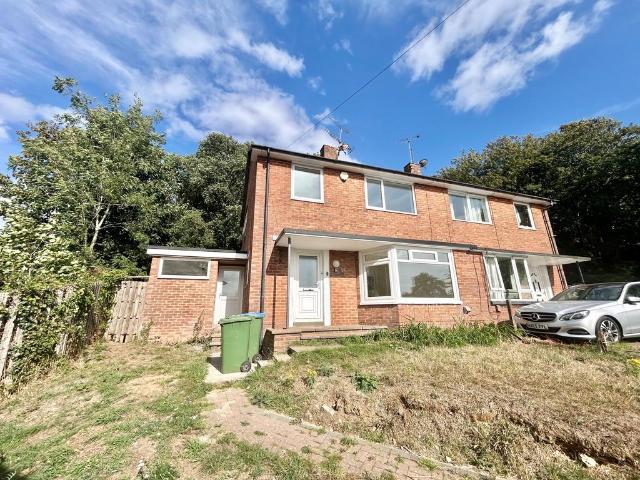 3 bedroom house to rent
