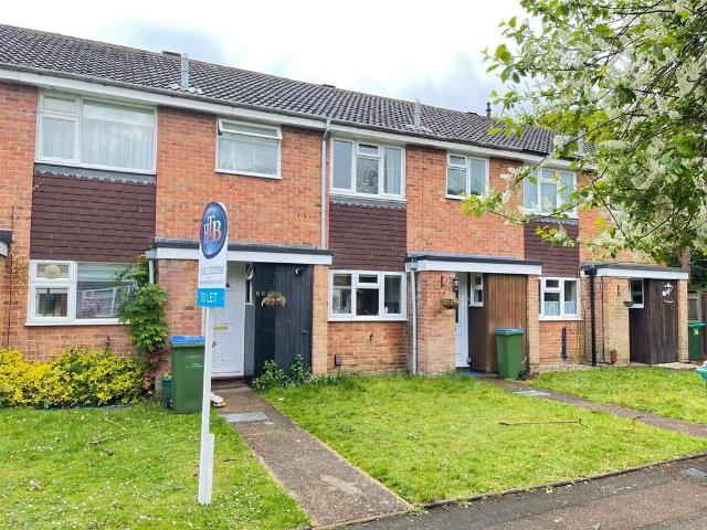 3 bedroom house to rent